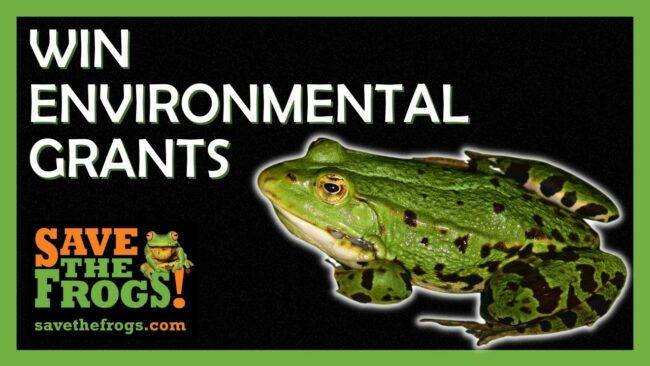 SAVE THE FROGS! Amphibian Conservation Grants