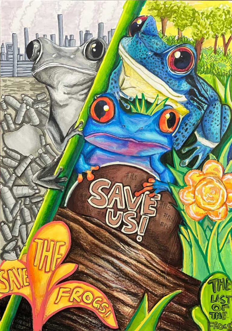 Winners Of The 2025 SAVE THE FROGS! Art Contest