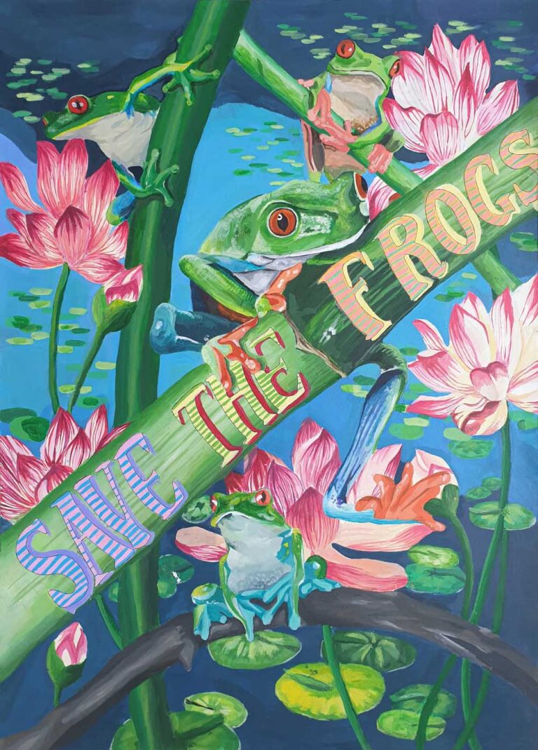 Winners Of The 2024 SAVE THE FROGS! Art Contest