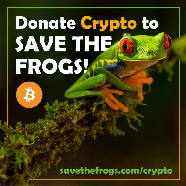 How To Donate Cryptocurrency To SAVE THE FROGS!