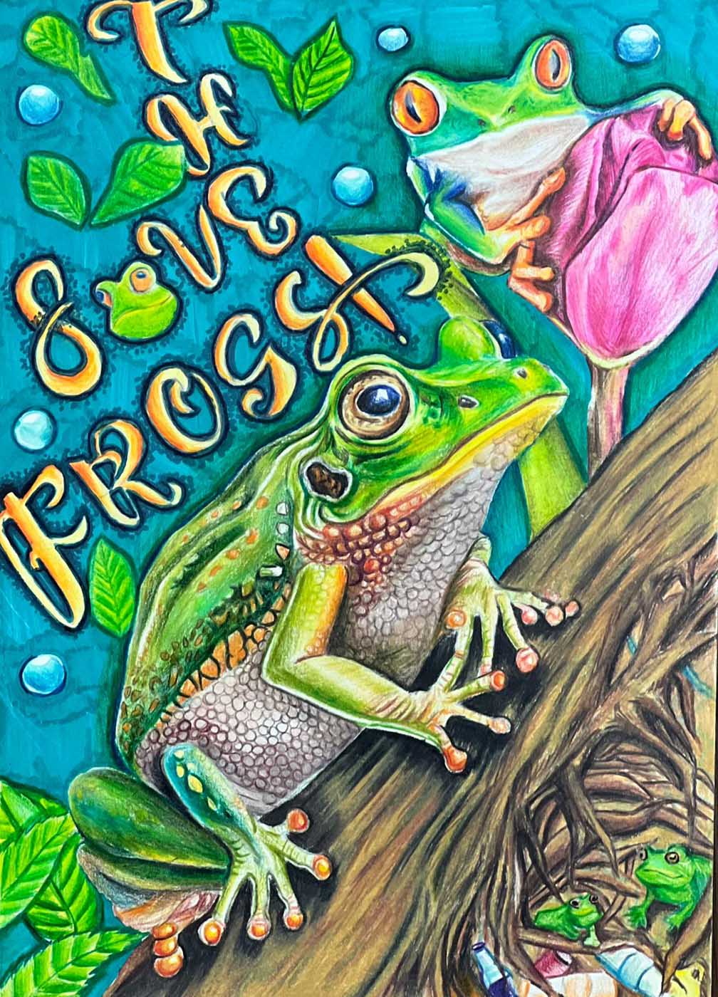 Winners Of The 2025 SAVE THE FROGS! Art Contest
