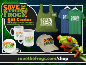 SAVE THE FROGS! - Amphibian Conservation Organization