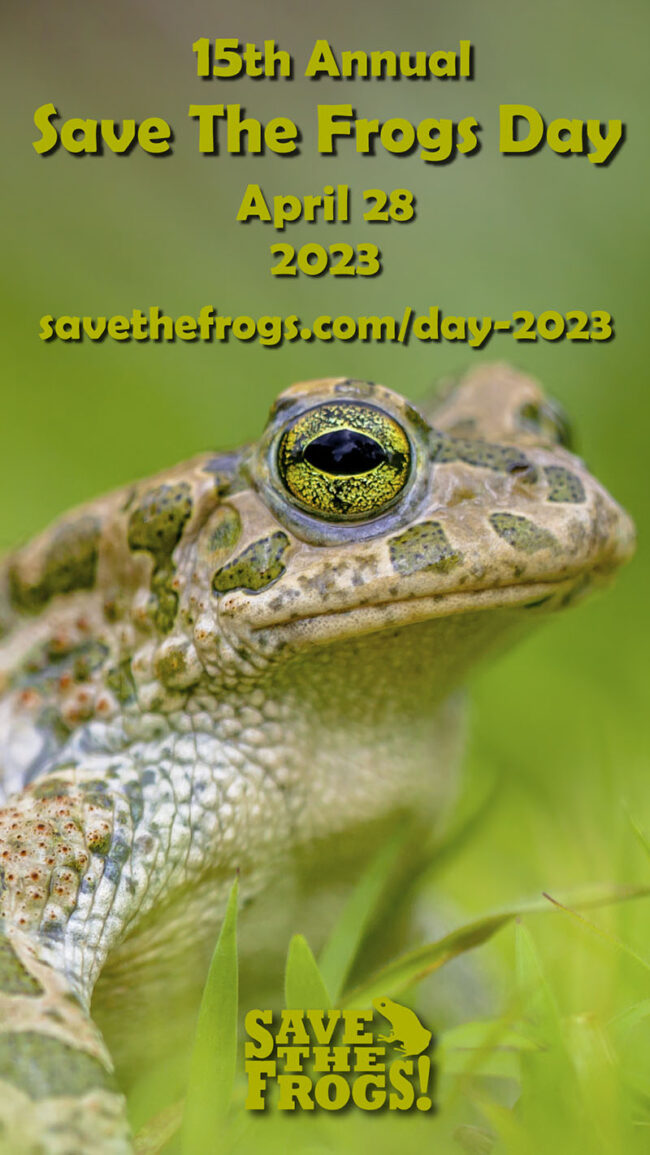 15th Annual Save The Frogs Day - Friday April 28th, 2023