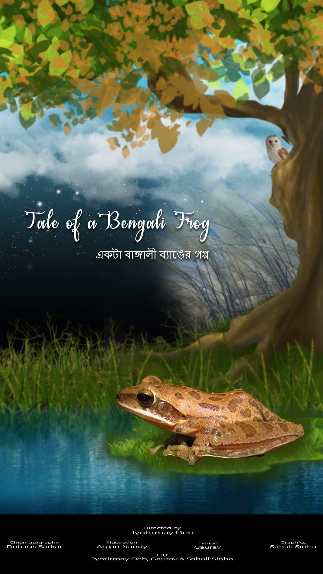 A Tiny Story Of Inspiration From India - SAVE THE FROGS!