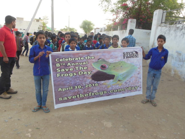 9 Things You Didn't Know About Save The Frogs Day - SAVE THE FROGS!