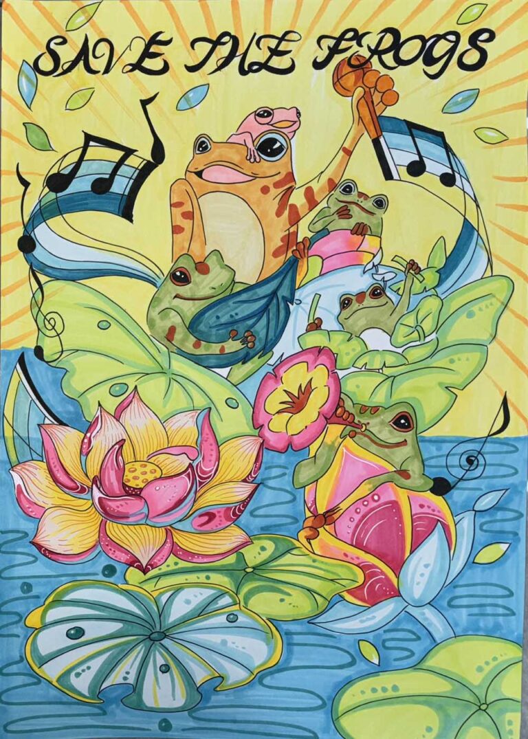 Winners Of The 2024 SAVE THE FROGS! Art Contest