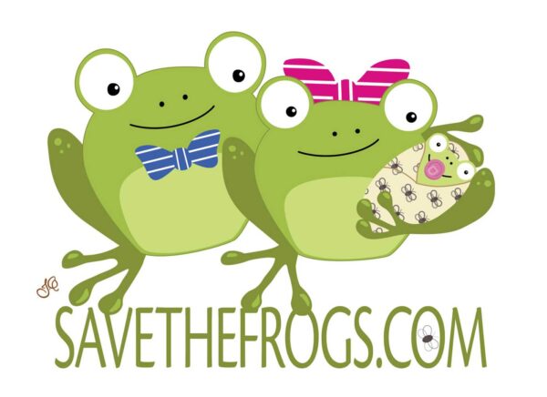 About SAVE THE FROGS! - Amphibian Conservation Organization