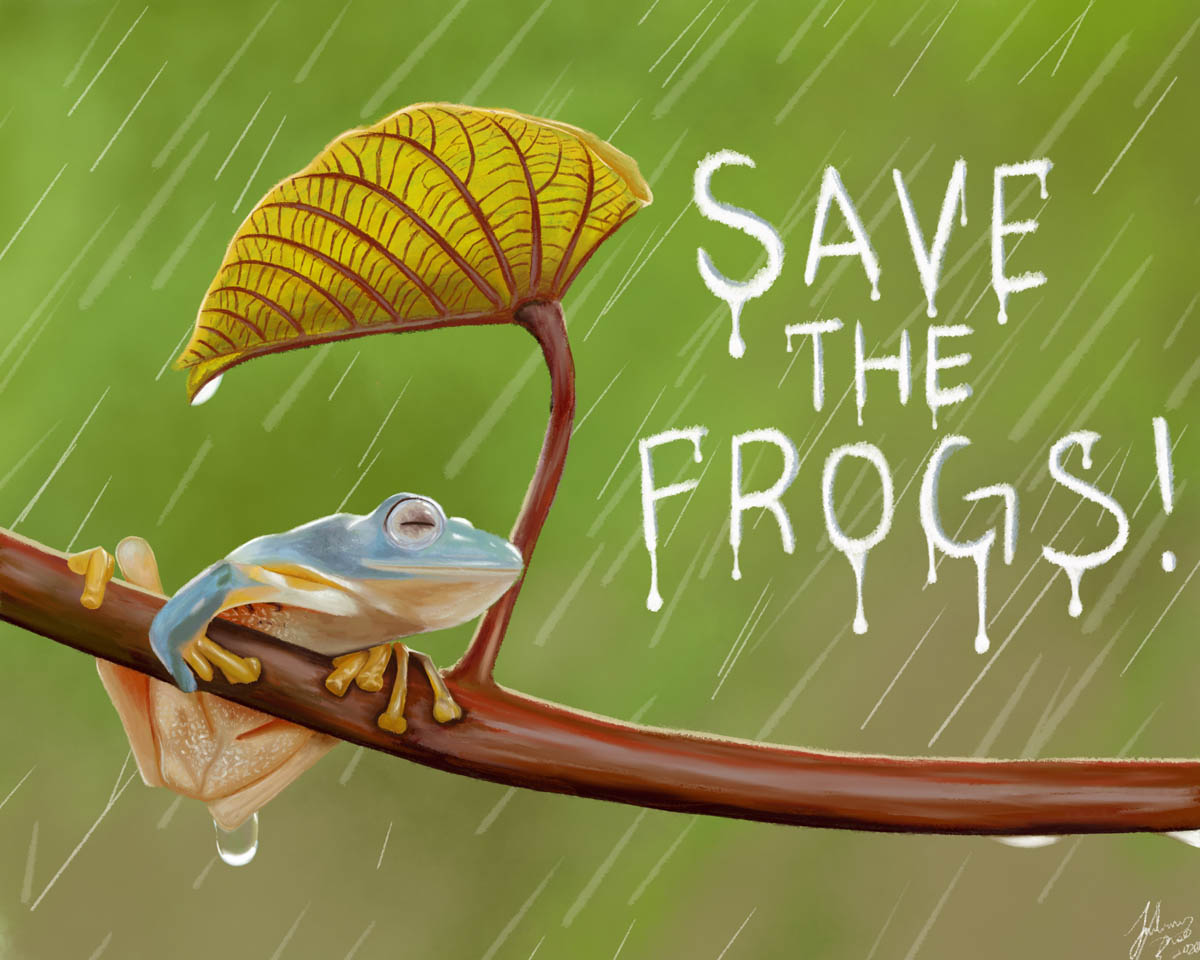 Donate Annually To SAVE THE FROGS! - Make An Impact