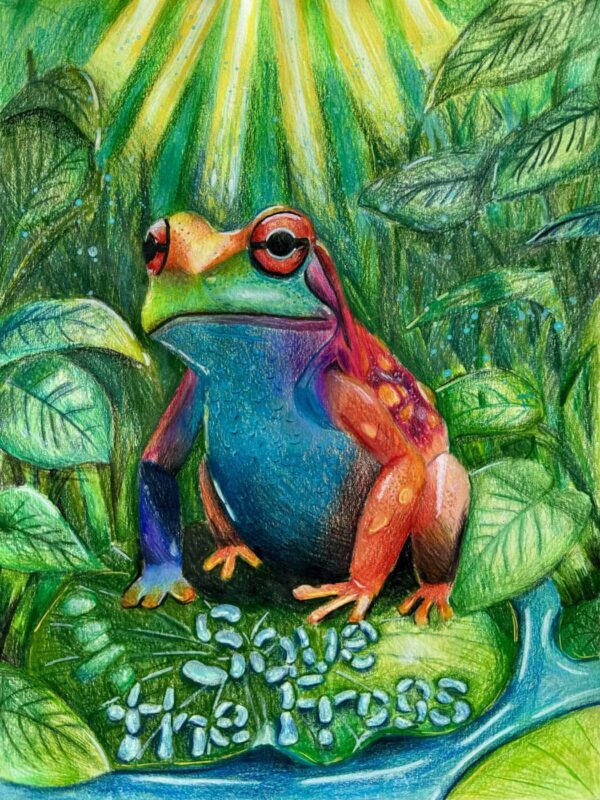 Winners Of The 2024 SAVE THE FROGS! Art Contest