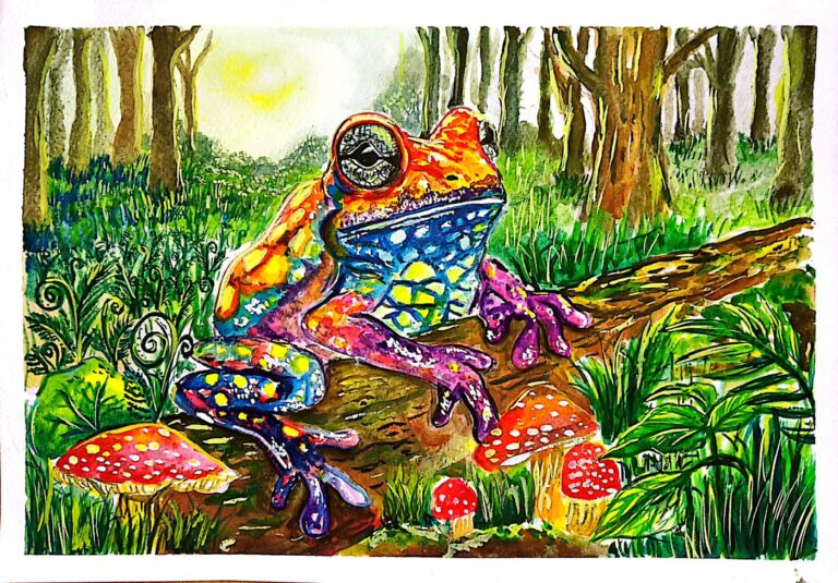Winners Of The 2024 SAVE THE FROGS! Art Contest