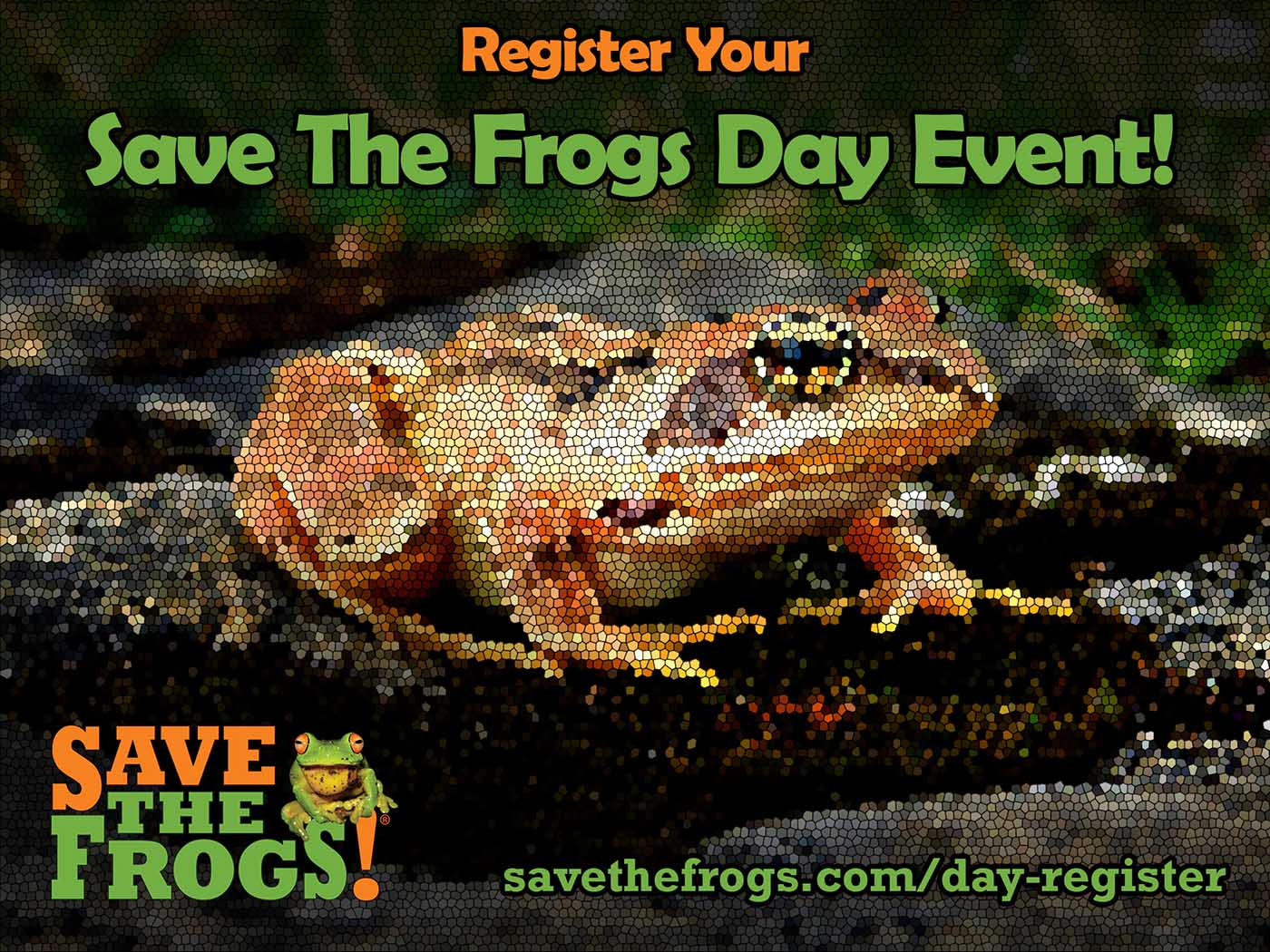 Save The Frogs Day - April 28th Every Year