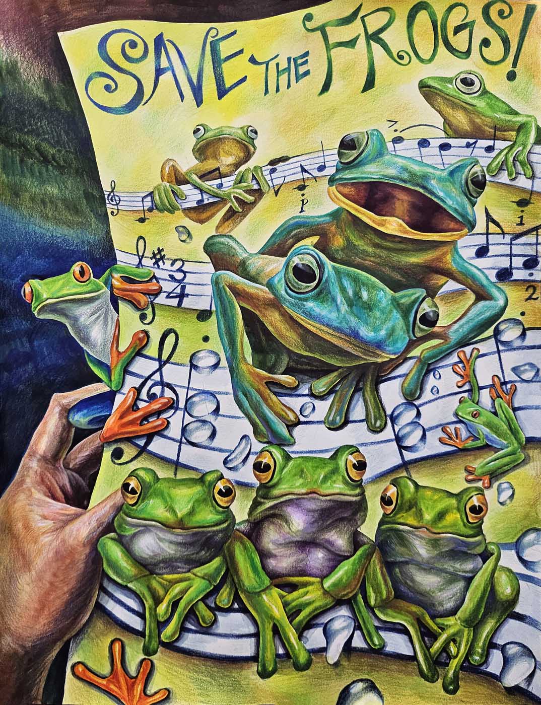 Winners Of The 2025 SAVE THE FROGS! Art Contest