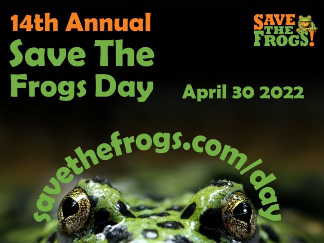 14th Annual Save The Frogs Day - Saturday April 30th, 2022