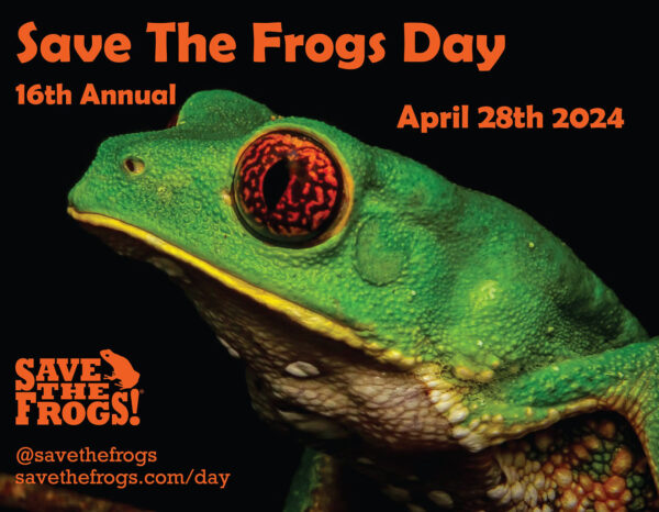 16th Annual Save The Frogs Day - April 28th, 2024