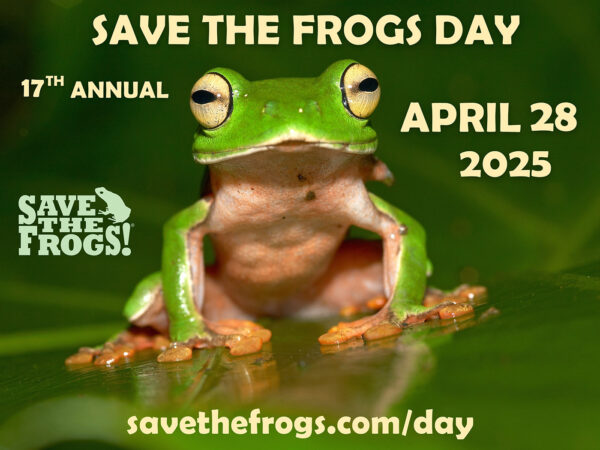 How To Spread The Word About Save The Frogs Day