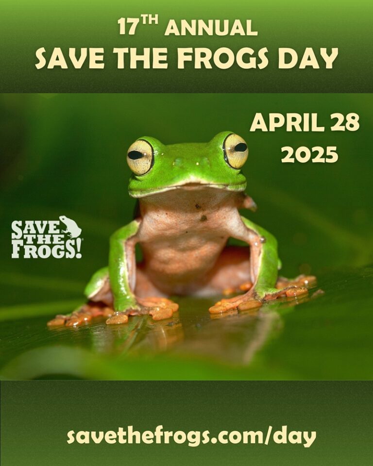How To Spread The Word About Save The Frogs Day