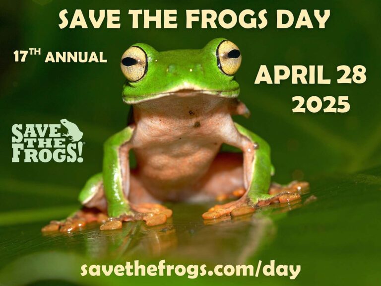 17th Annual Save The Frogs Day | Monday April 28th, 2025