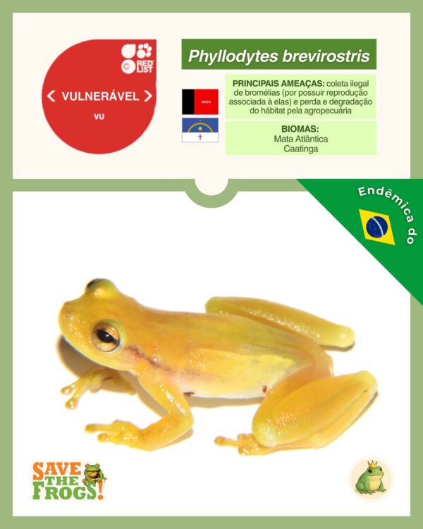 17th Annual Save The Frogs Day | Monday April 28th, 2025