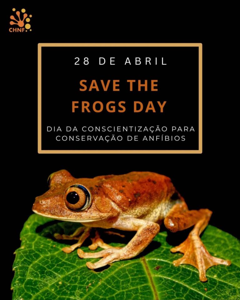 17th Annual Save The Frogs Day | Monday April 28th, 2025
