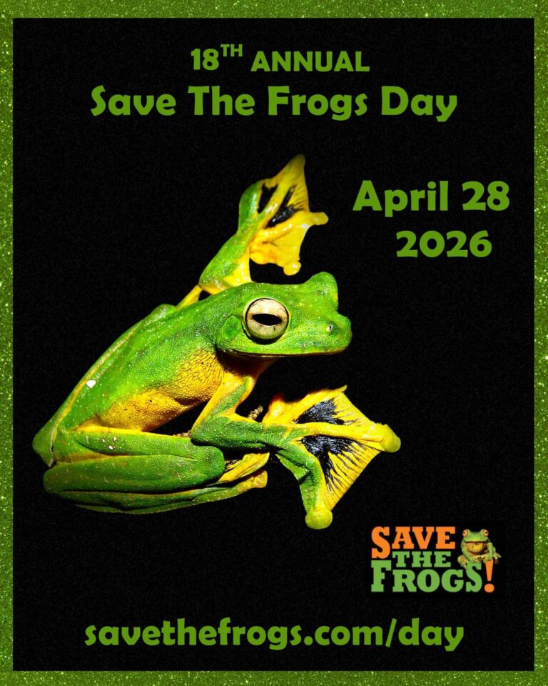 18th Annual Save The Frogs Day | Tuesday April 28th, 2026