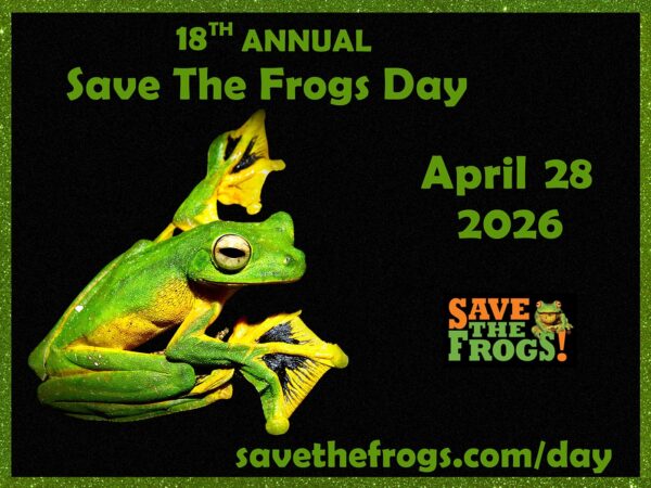 18th Annual Save The Frogs Day | Tuesday April 28th, 2026