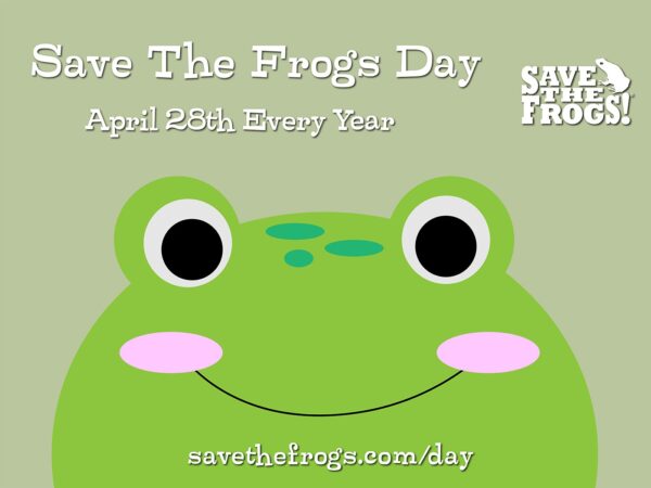 18th Annual Save The Frogs Day | Tuesday April 28th, 2026