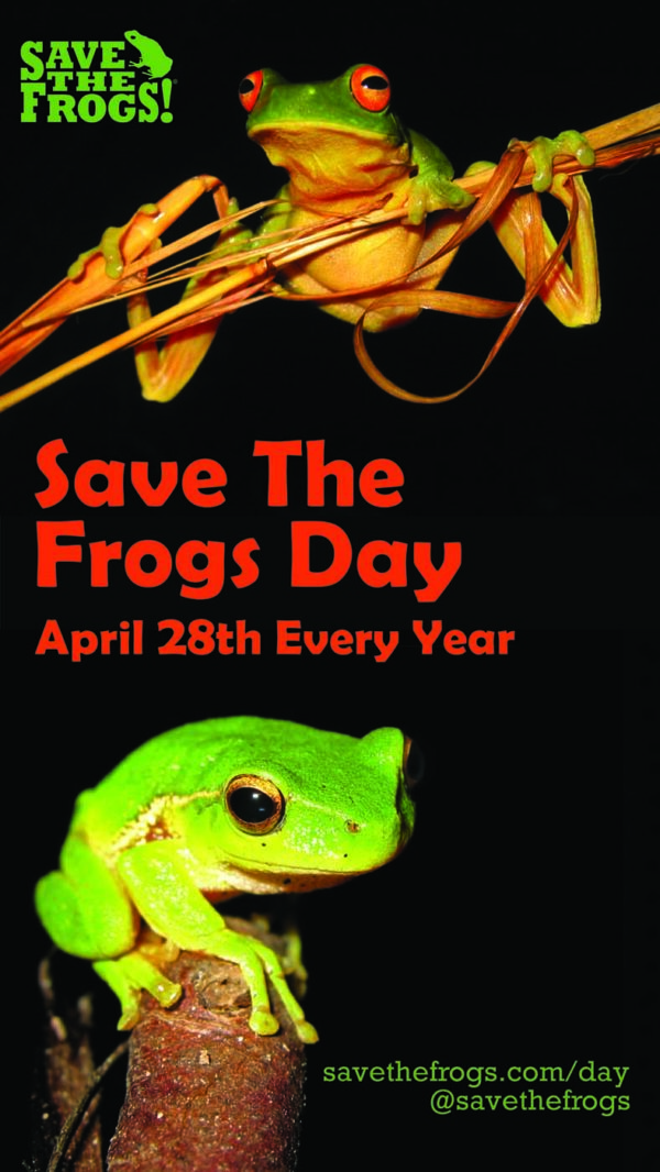 16th Annual Save The Frogs Day - April 28th, 2024