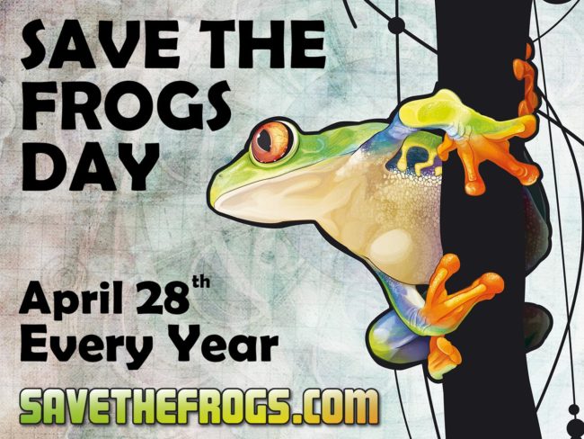 15th Annual Save The Frogs Day - Friday April 28th, 2023