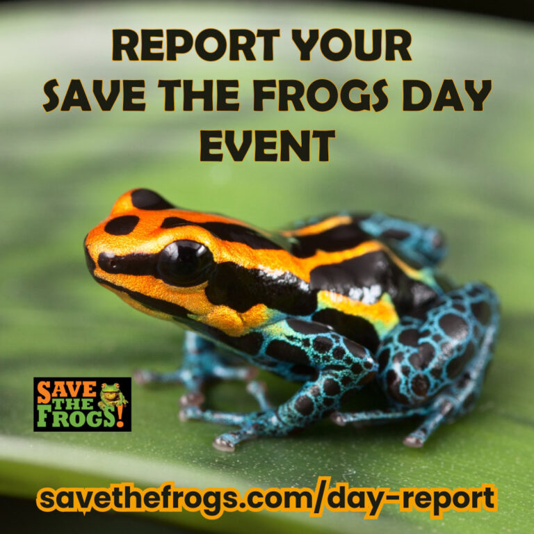 Save The Frogs Day Event Reporting