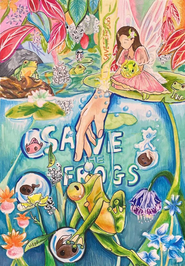 Winners Of The 2024 SAVE THE FROGS! Art Contest