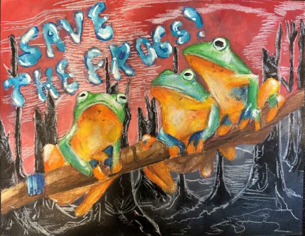 SAVE THE FROGS! - Amphibian Conservation Organization