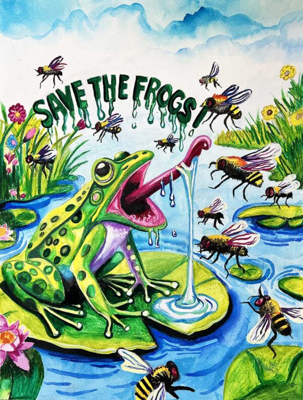 Winners Of The 2024 SAVE THE FROGS! Art Contest
