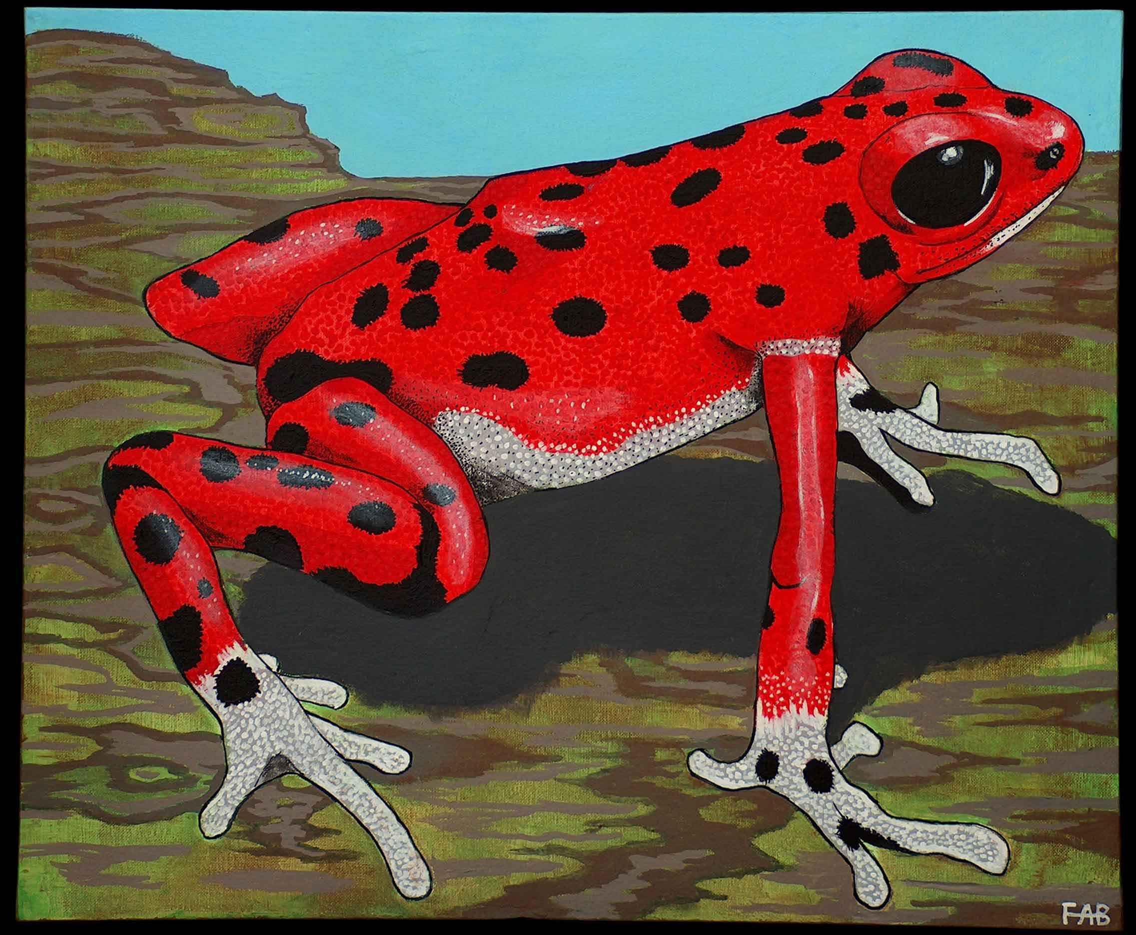 Volunteer Opportunity Graphic Designer SAVE THE FROGS 
