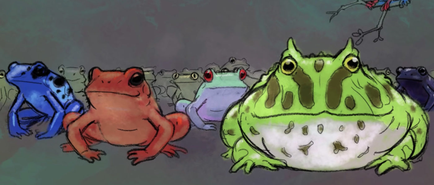 SAVE THE FROGS! TED-Ed Disappearing Frogs Video – SAVE THE FROGS!