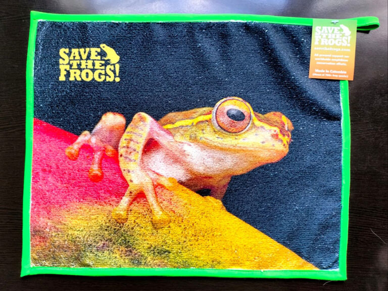 SAVE THE FROGS! - Amphibian Conservation Organization