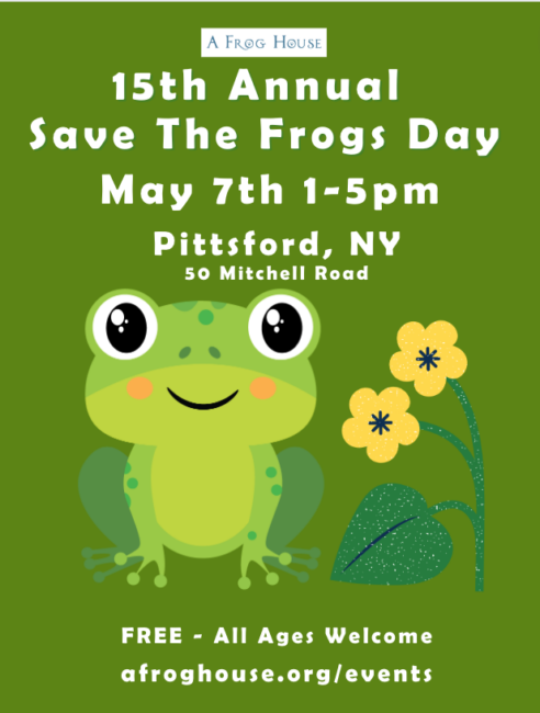 Save The Frogs Day 2023 In New York With A Frog House