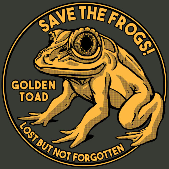 The Golden Toad - Lost But Not Forgotten - SAVE THE FROGS!