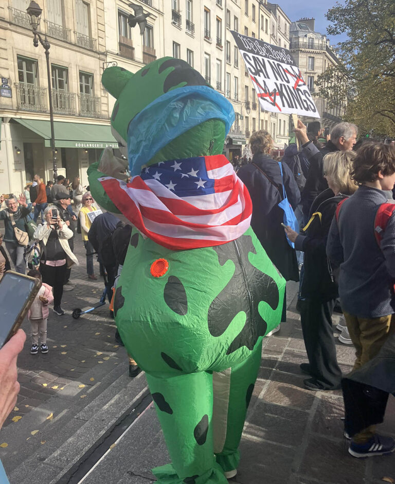 The Portland Frog: A Symbol Of Resistance And Hope