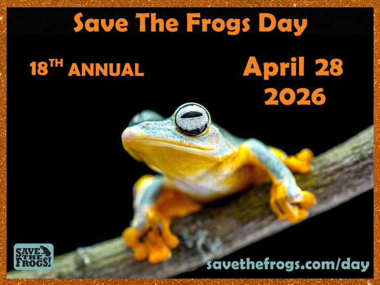 18th Annual Save The Frogs Day | Tuesday April 28th, 2026