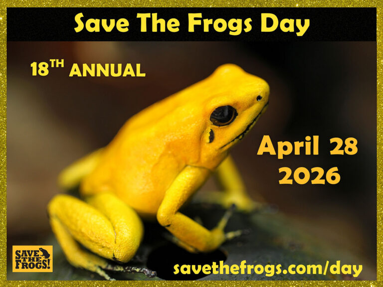 18th Annual Save The Frogs Day | Tuesday April 28th, 2026