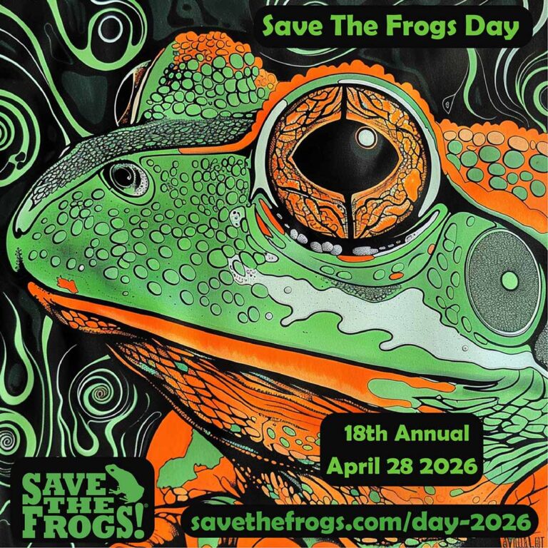 18th Annual Save The Frogs Day | Tuesday April 28th, 2026